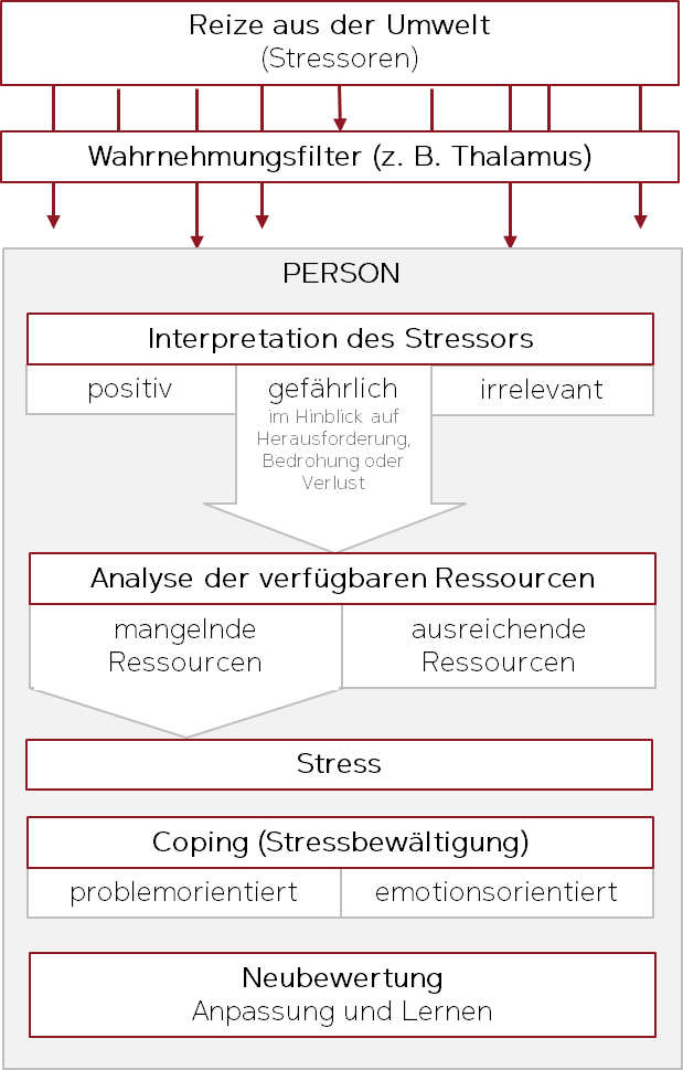 Stressbewältigung | Umgang mit Stress und Stressoren